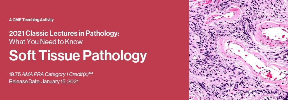 2021 Classic Lectures In Pathology: What You Need To Know: Soft Tissue ...